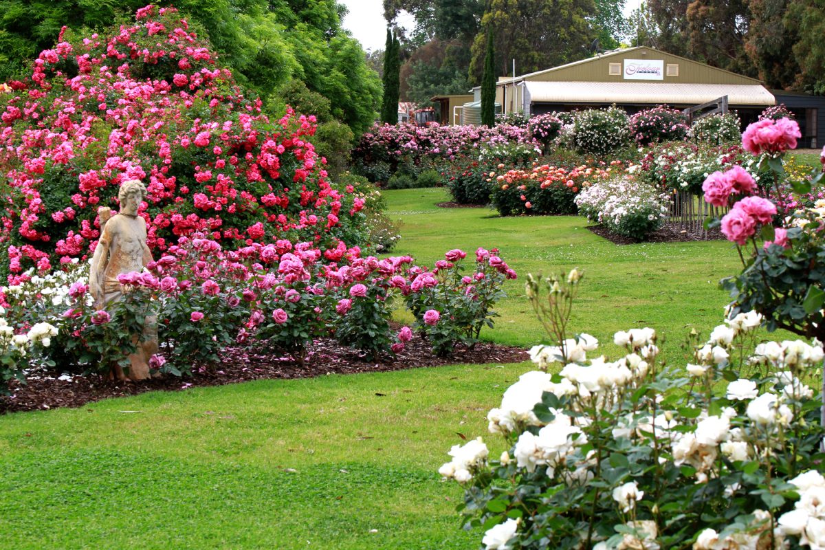 Glorious Gardens - Visit Portland