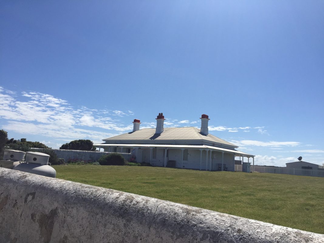 Coastal Delights - Cape Nelson & Danger Point - Visit Portland