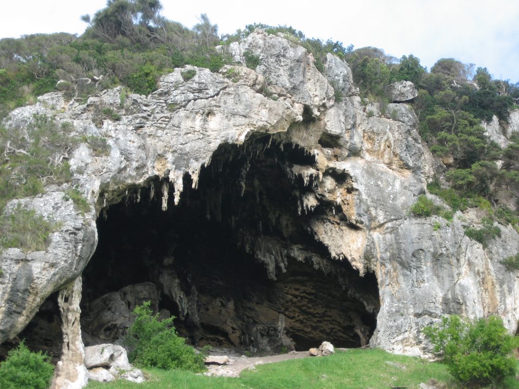 Cape Bridgewater - Visit Portland