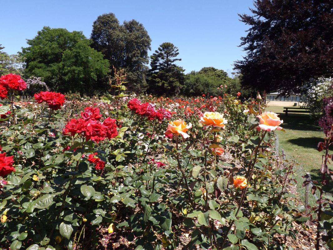 Botanical Gardens - Visit Portland